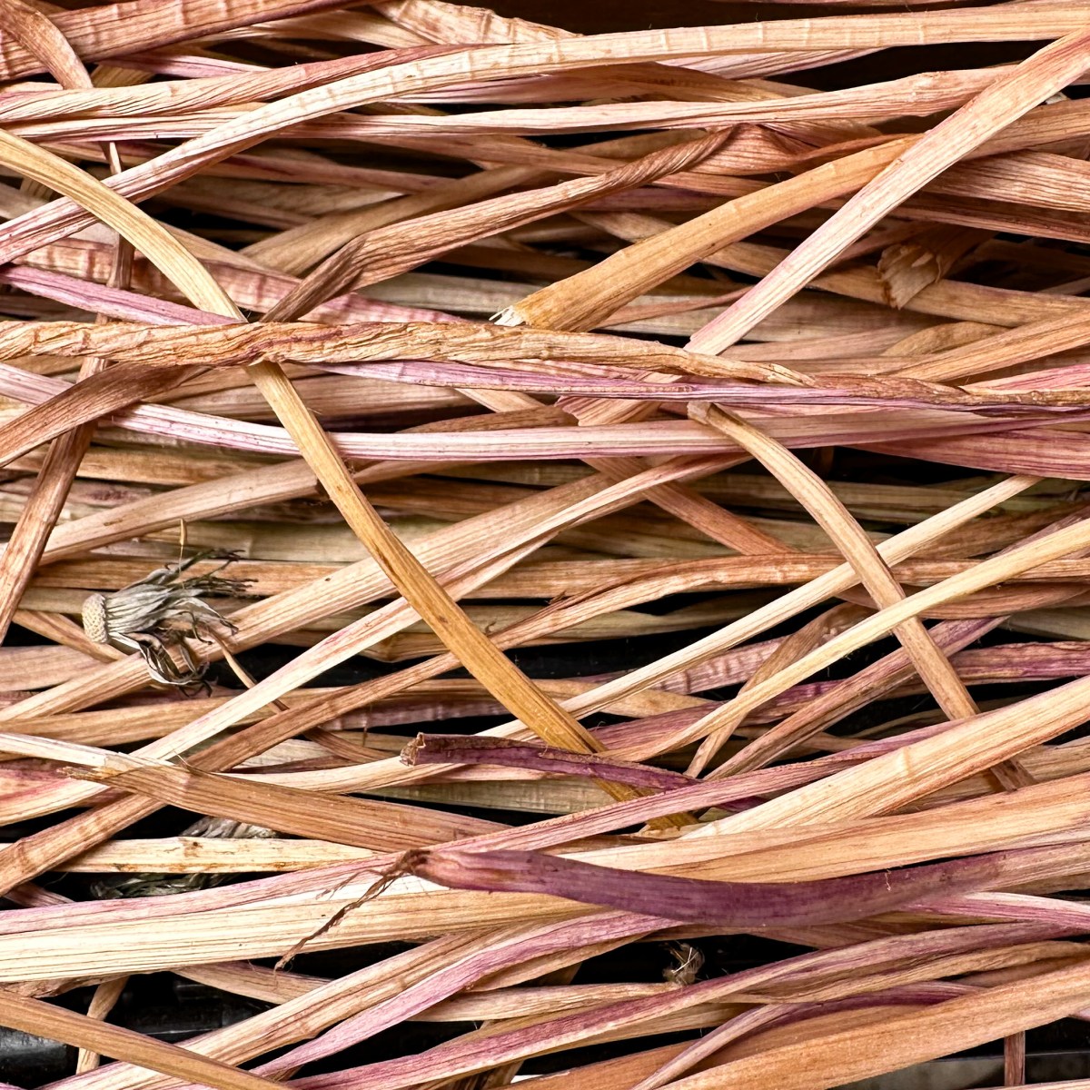 Finding Fertile Ground – Wastesmiths C.I.C.